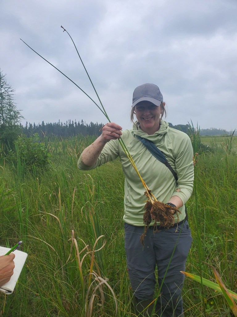 Native Plant Forays – Arrowhead Native Plant Explorers