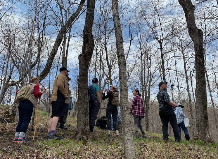 Spring Ephemerals Hike at Magney – Snively 5.11.24 – Arrowhead Native Plant Explorers