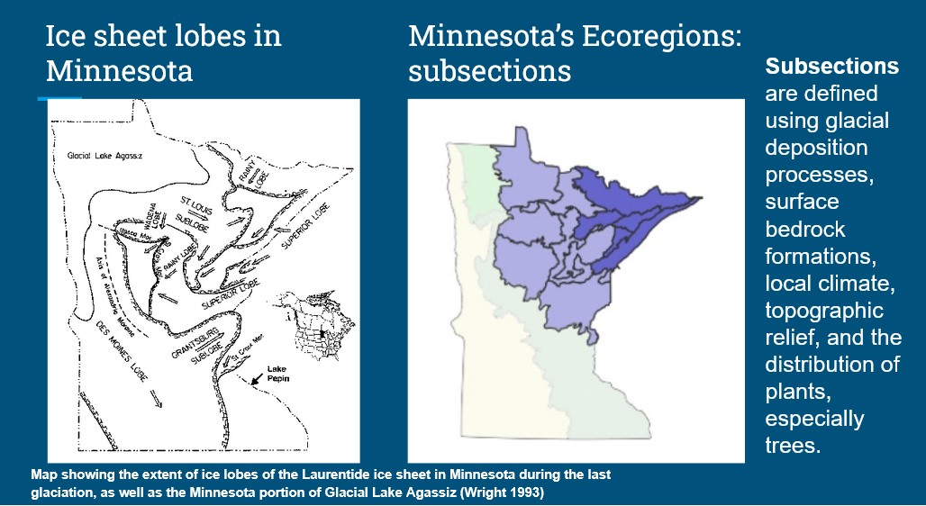 Discovering the Icelandite SNA 11.21.2024 – Arrowhead Native Plant ...