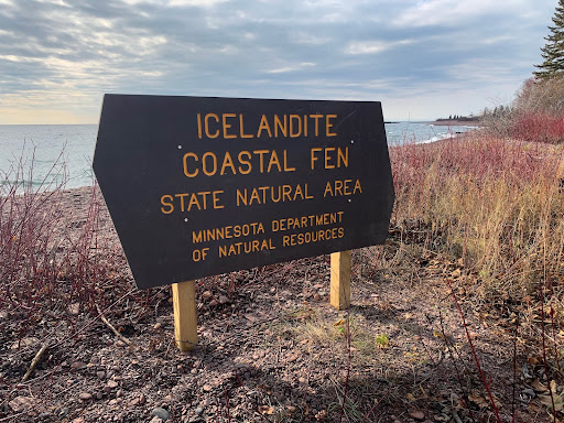 Discovering the Icelandite SNA 11.21.2024 – Arrowhead Native Plant ...